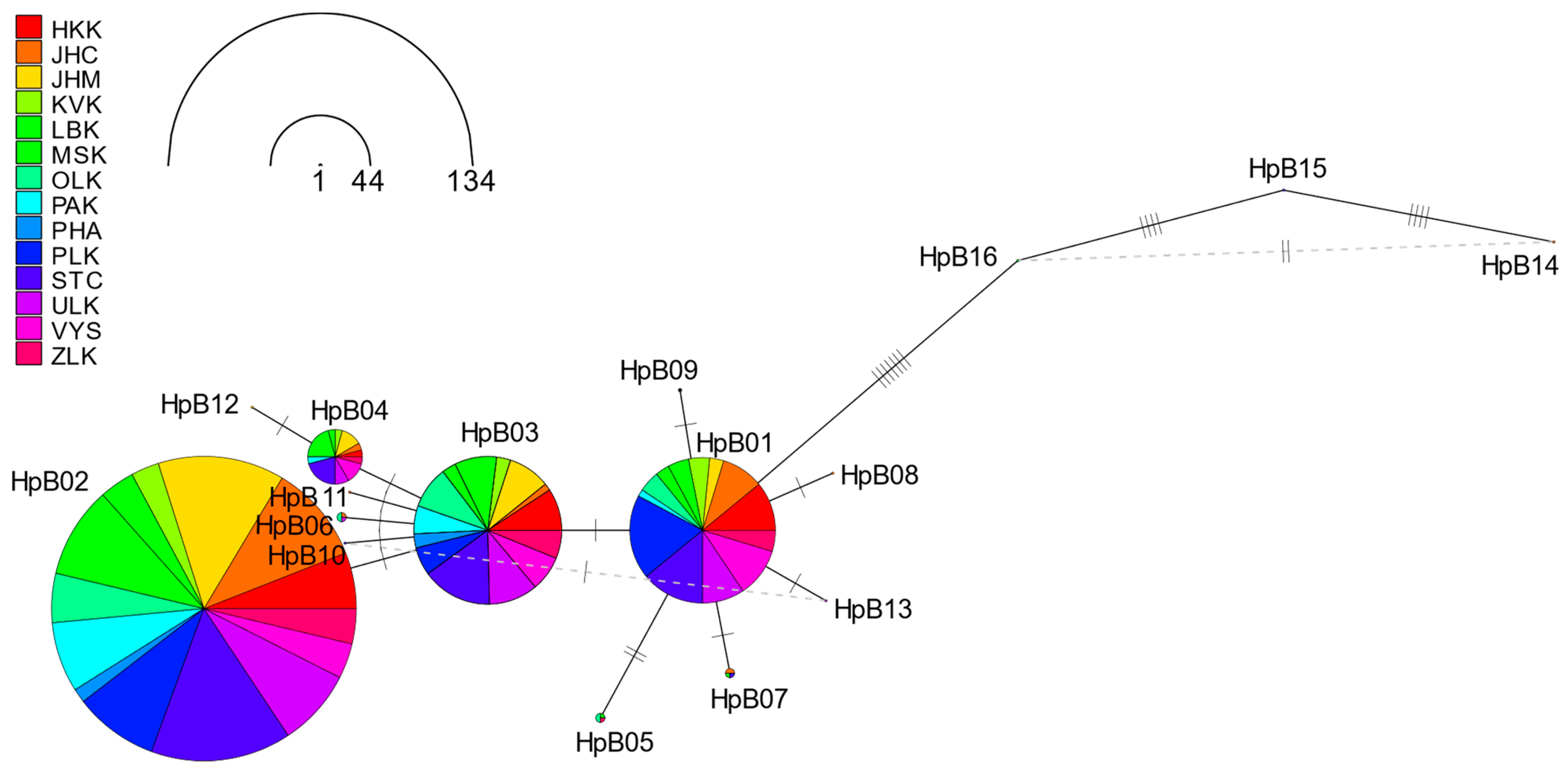 Haplotype Diversity in mtDNA of Honeybee in the Czech Republic Confirms ...