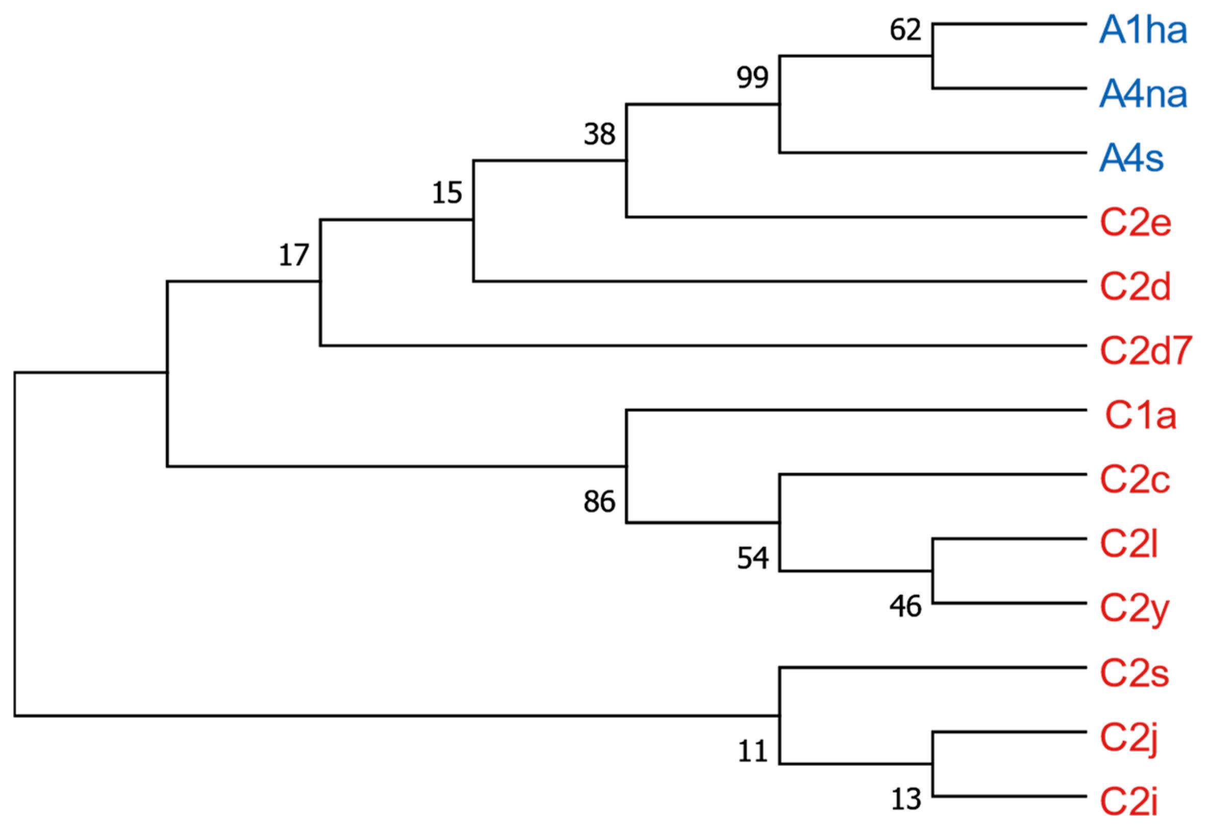 Haplotype Diversity in mtDNA of Honeybee in the Czech Republic Confirms ...