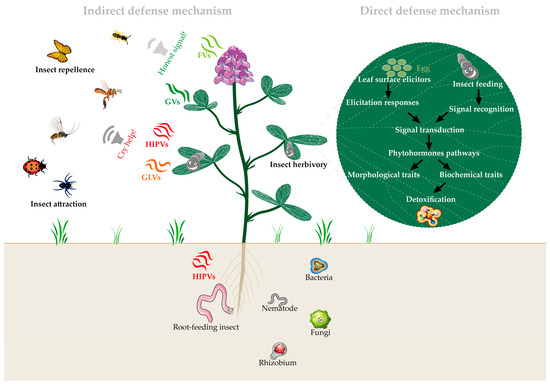 Multitrophic and Multilevel Interactions Mediated by Volatile Organic ...