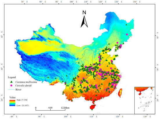 Mapping the Distribution of Curculio davidi Fairmaire 1878 under ...
