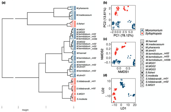 Linear Morphometry of Male Genitalia Distinguishes the Ant Genera ...