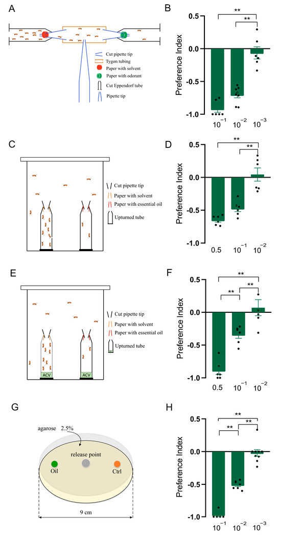 Deterrent Effects of Clary Sage Oil and Two Major Constituents against Drosophila suzukii ...