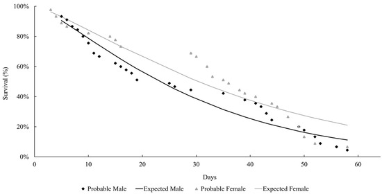 Ultrastructure of Immatures Stages and Life Cycle of Helicobia ...