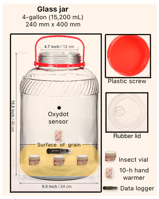 Hand Warmer-Induced Hypoxia Accelerates Pest Control in Hermetic Storage