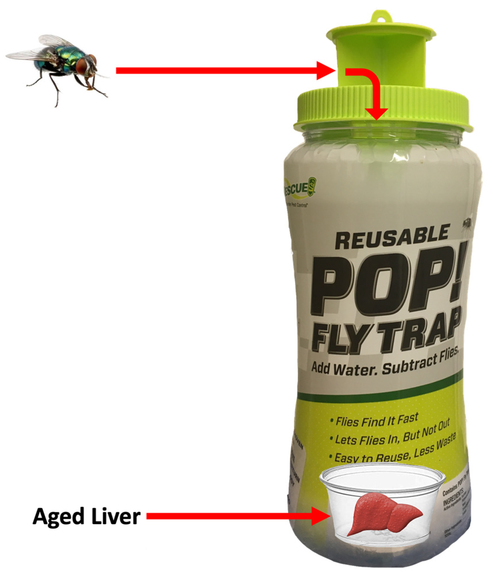 Modelling Blow Fly Diptera Calliphoridae Spatiotemporal Species Richness and Total Abundance Across Land Use Types