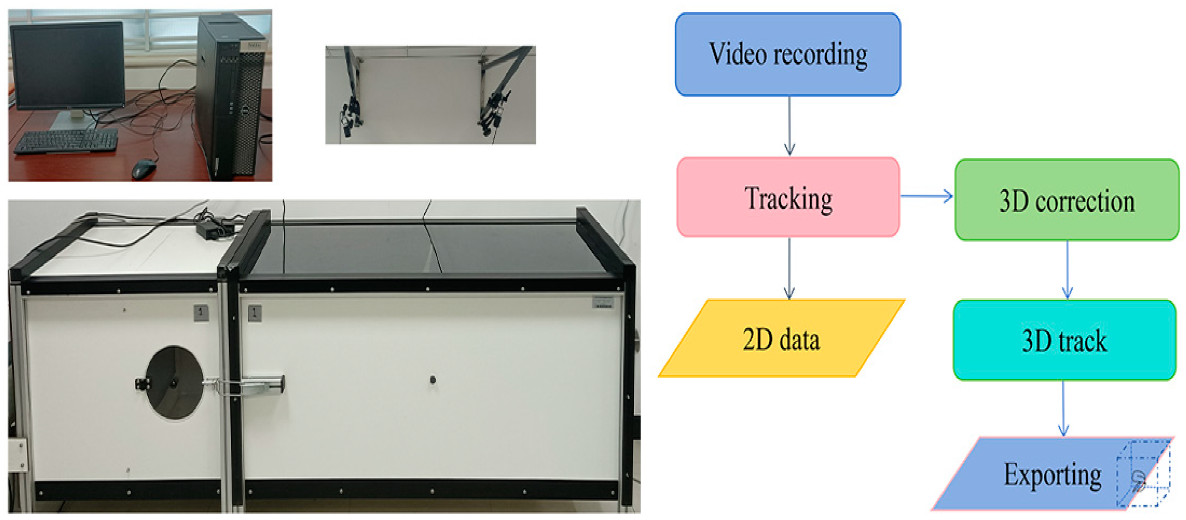 Courtship Behavior of Adult Spodoptera frugiperda (Lepidoptera ...