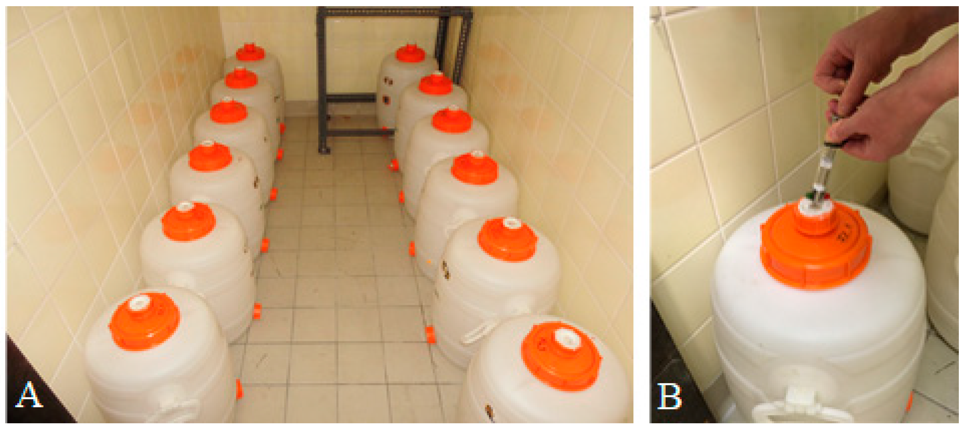 Increasing the Oxygen Consumption in Hermetic Grain Storage Using Grain ...