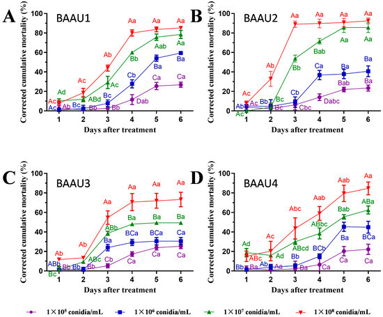 Isolation and Evaluation of Indigenous Isolates of Beauveria bassiana ...