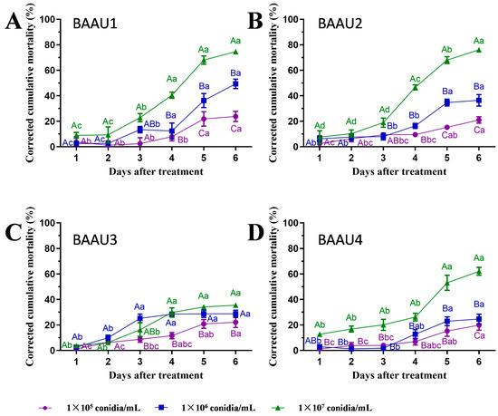 Isolation and Evaluation of Indigenous Isolates of Beauveria bassiana ...