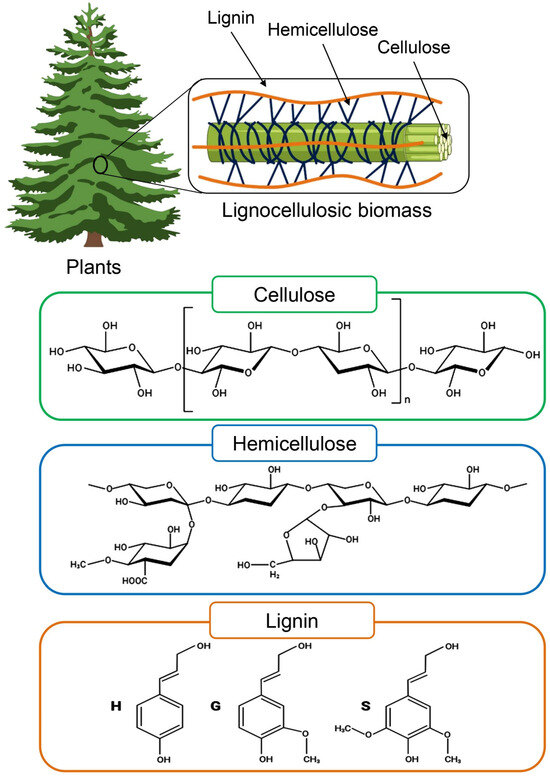 Biorefinery and Bioremediation Strategies for Efficient Management of ...