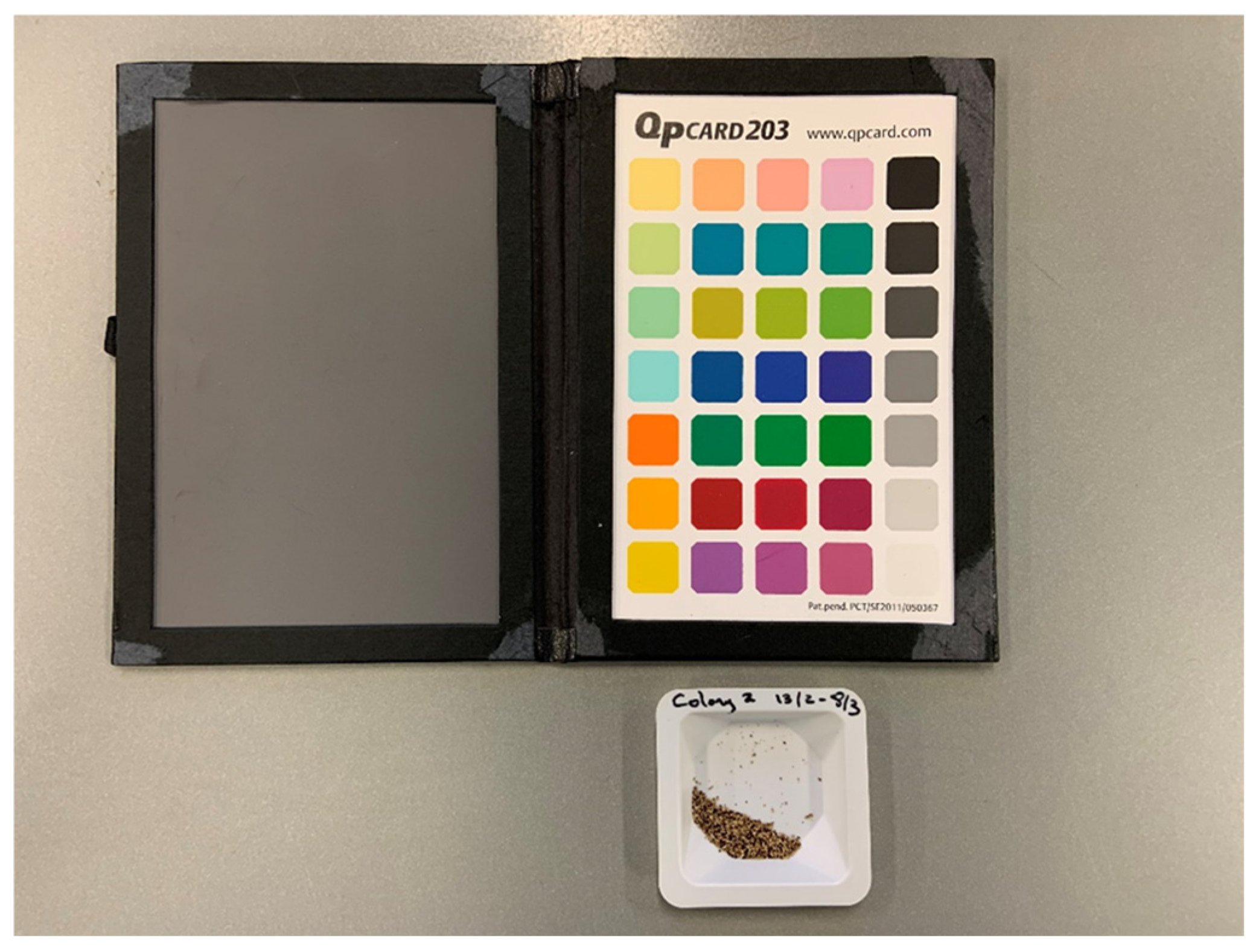 Use of Chemical and Colorimetric Changes to Age Cryptotermes brevis ...