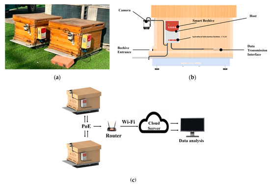 A Honey Bee In-and-Out Counting Method Based on Multiple Object Tracking Algorithm