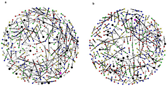 Centrality of Hygienic Honey Bee Workers in Colony Social Networks