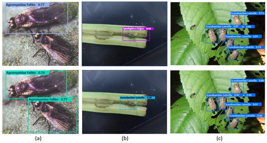 SP-YOLO: A Real-Time and Efficient Multi-Scale Model for Pest Detection ...