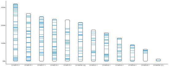 A Genome-Wide Analysis of Nuclear Mitochondrial DNA Sequences (NUMTs ...
