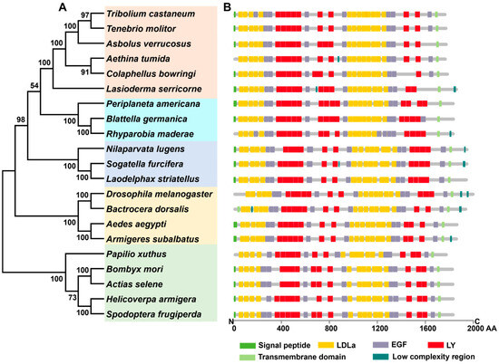 Roles of Vitellogenin and Its Receptor Genes in Female Reproduction of ...