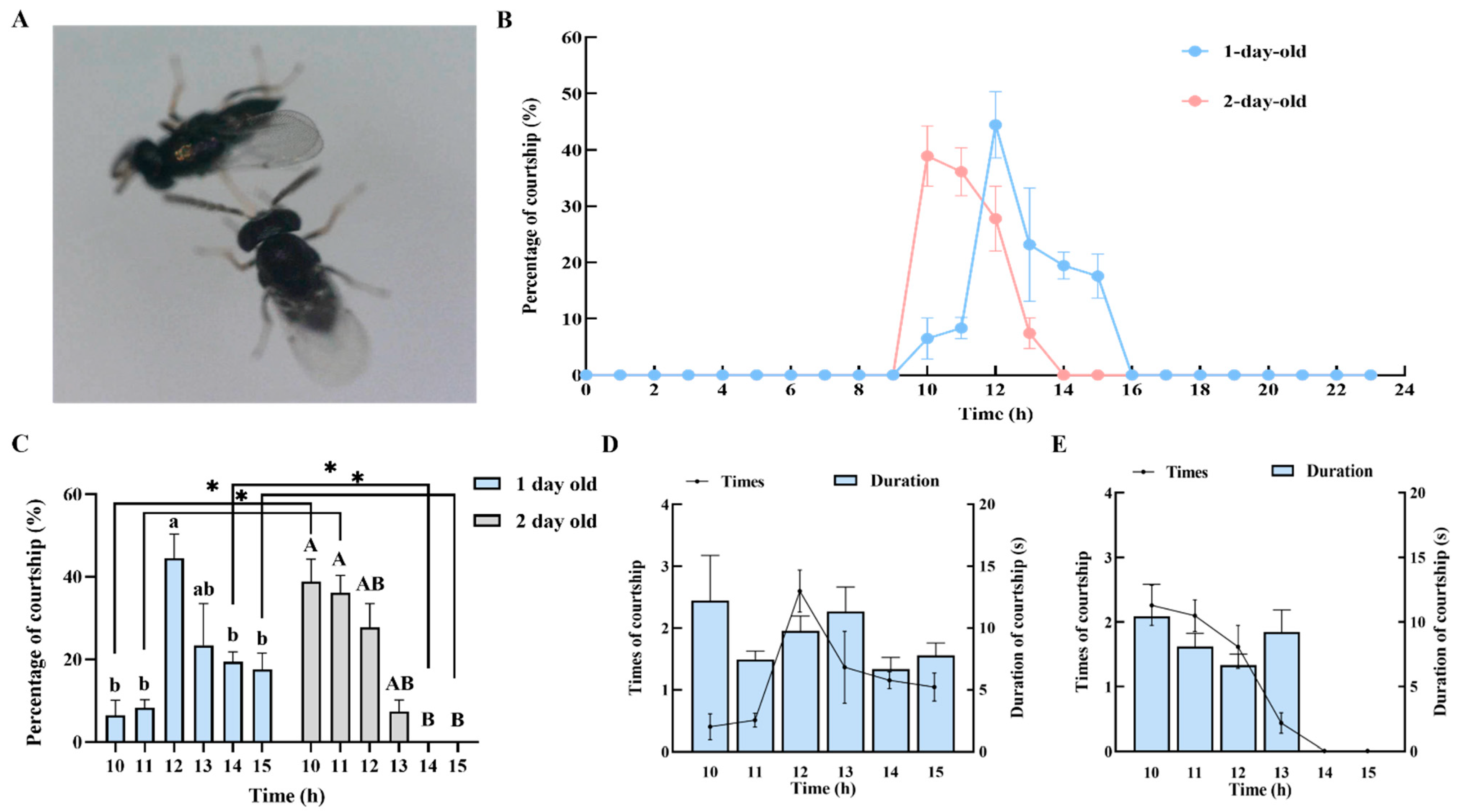 Reproductive Behavior of the Polyembryonic Parasitoid Copidosomopsis ...