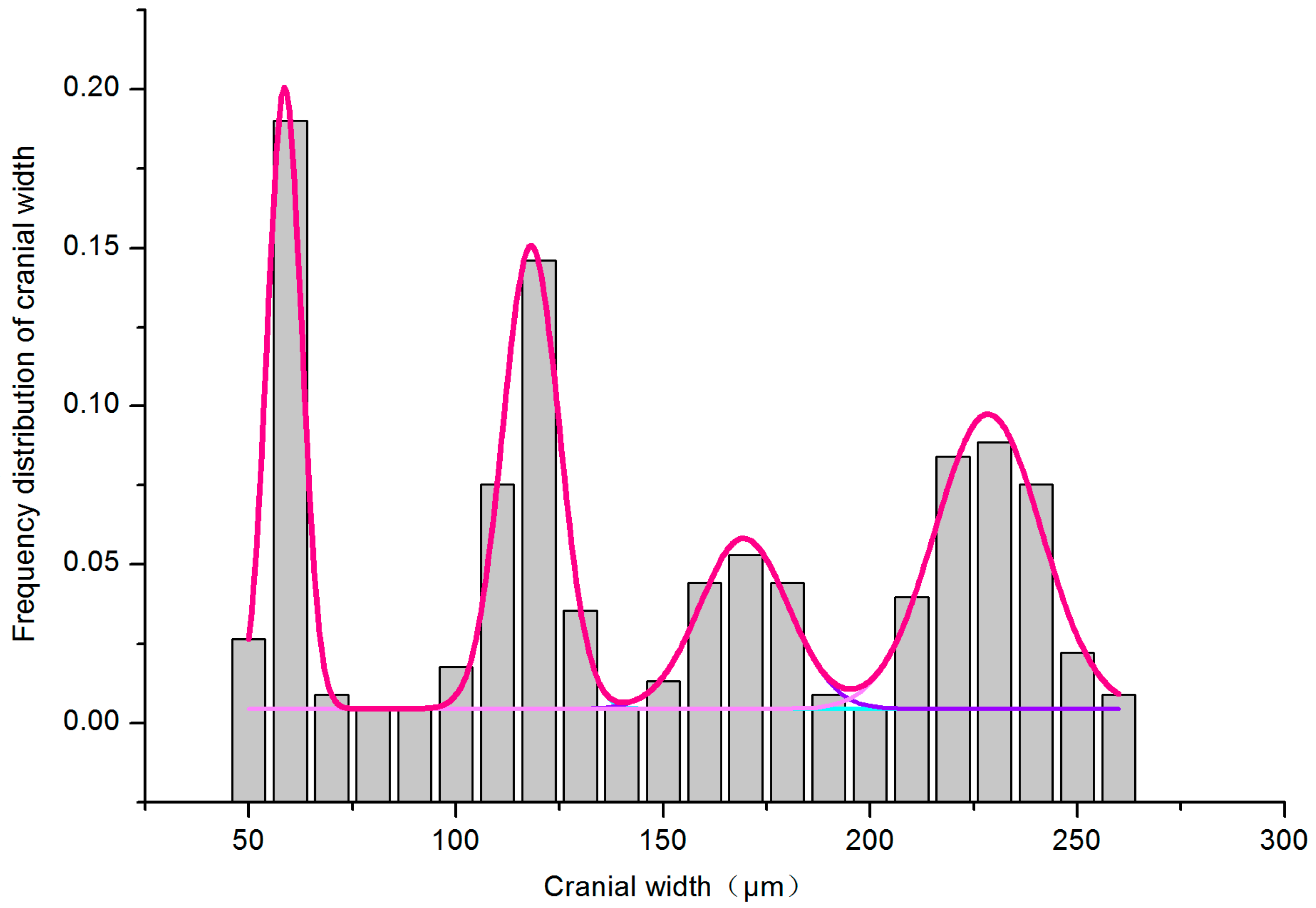 Transformation of Internal Thoracic Structures of Callobruchus ...