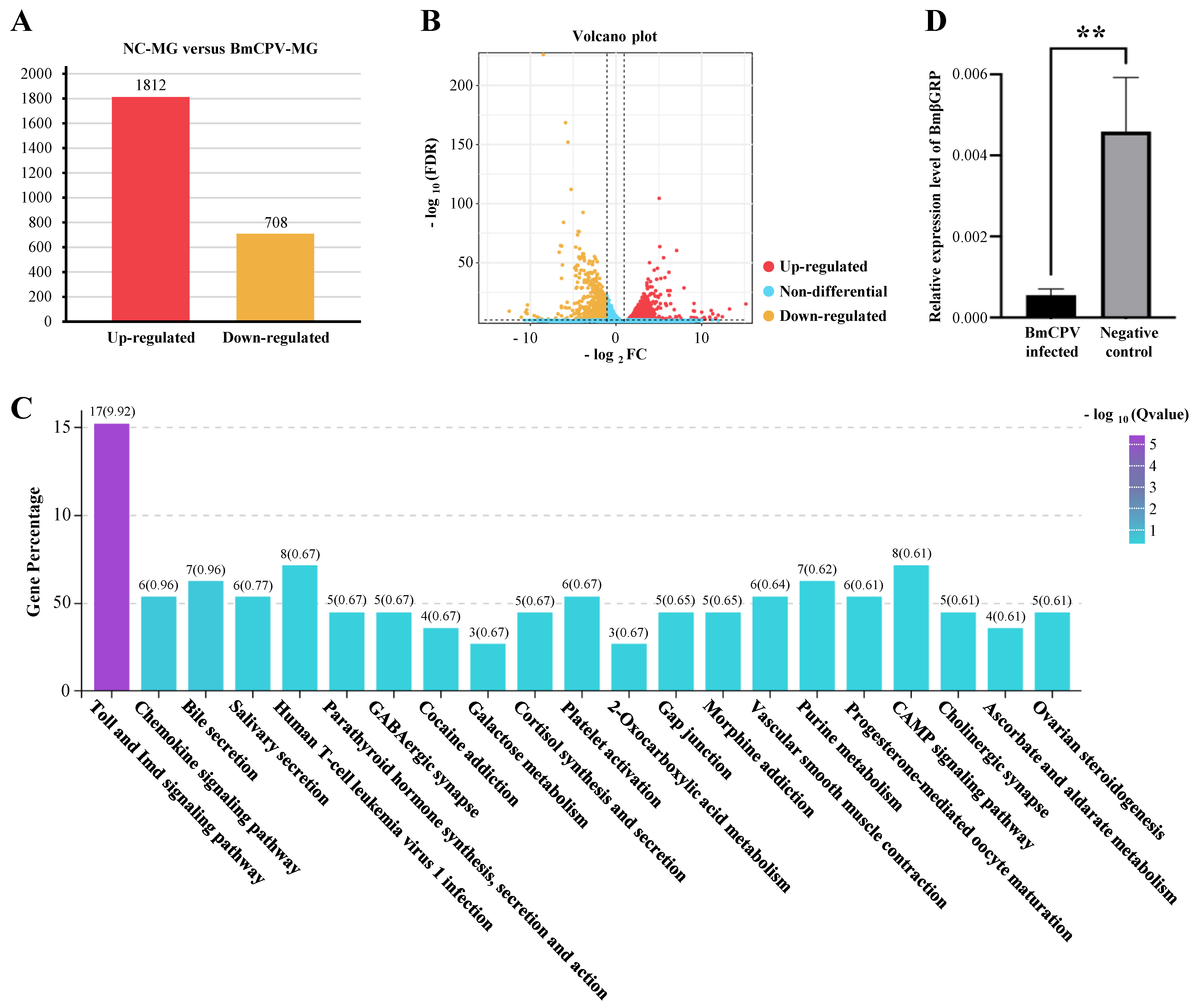 β-1,3-Glucan Recognition Protein Can Inhibit the Proliferation of ...