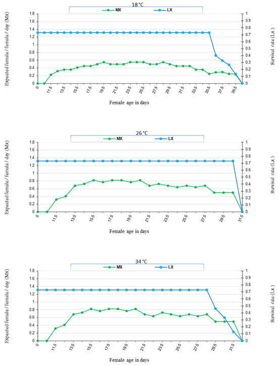 Demographic Parameters and Life History Traits of Neoseiulus cucumeris ...