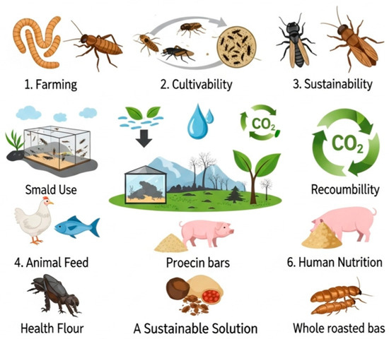 Nutritional Plasticity, Waste Bioconversion, and Insect Detoxification ...