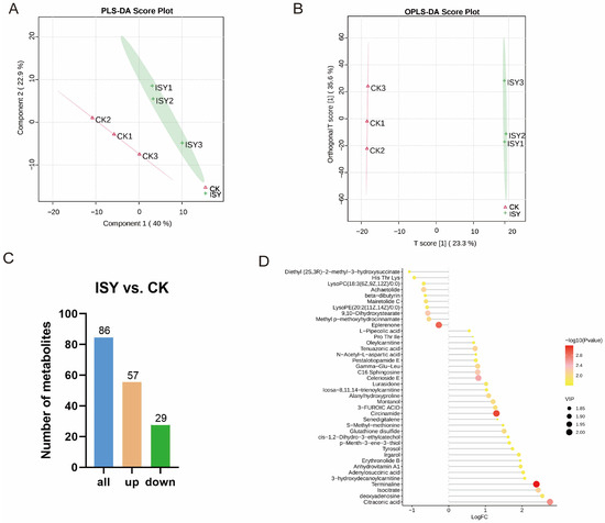 Integrated Transcriptomic and Metabolomic Insights into “I See You ...