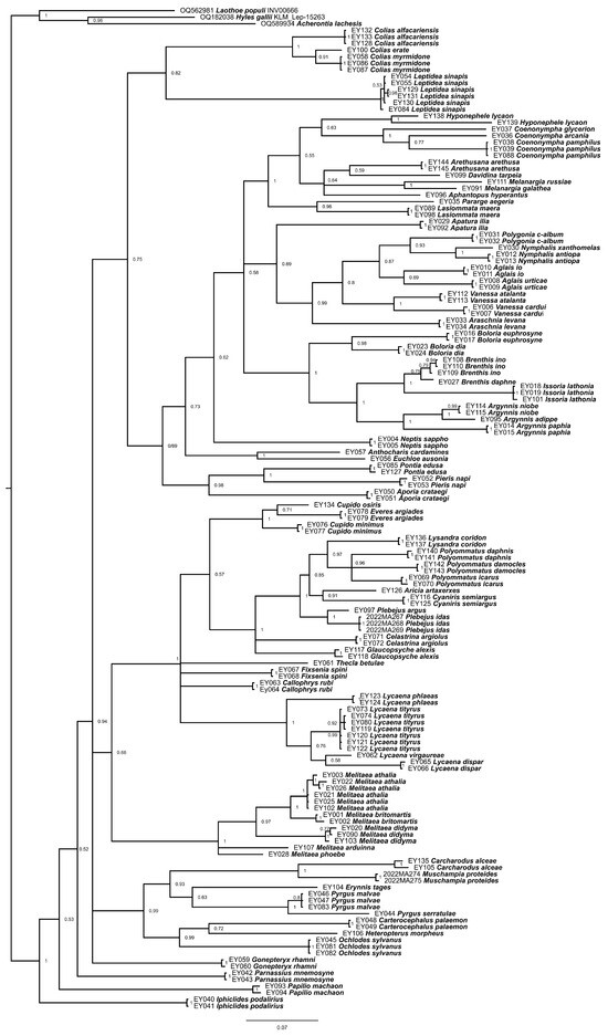 Questionable Species Names for Distinct Species Clusters: An Empirical ...