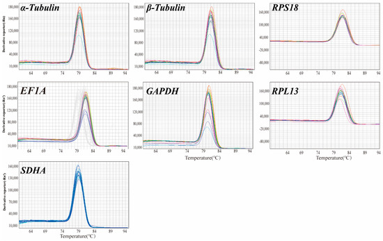 Screening and Identification of Reference Genes for Paracarophenax ...