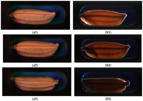 PaddyCheck—An Instrument for Rice Quality Determination