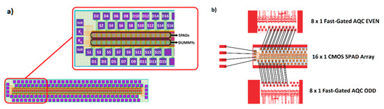 Fast-Gated 16 × 1 SPAD Array for Non-Line-of-Sight Imaging Applications