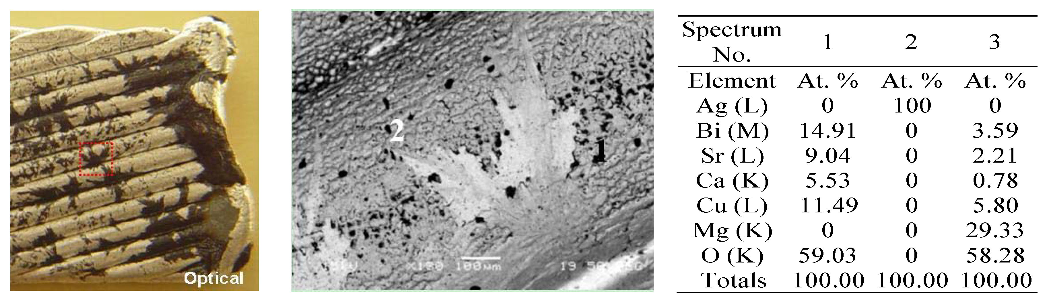 Conceptual Design of a HTS Dipole Insert Based on Bi2212 Rutherford Cable