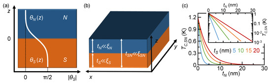 Transition Edge Sensors: Physics and Applications