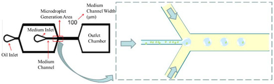 The Separation of Microalgae Using Dean Flow in a Spiral Microfluidic ...