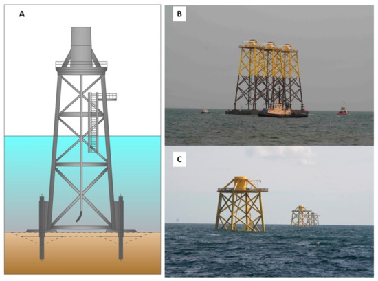 Wind Turbines Offshore Foundations and Connections to Grid