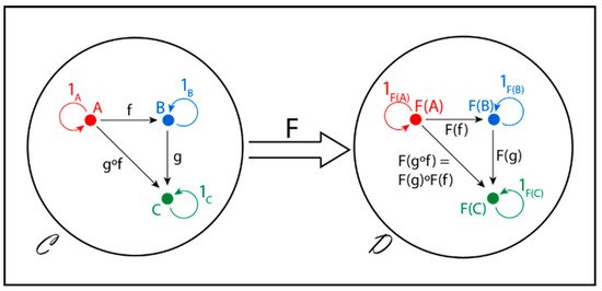 Graph Theory: A Comprehensive Survey about Graph Theory Applications in ...