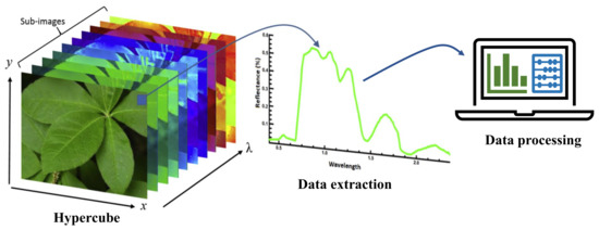 Sensing Methodologies in Agriculture for Monitoring Biotic Stress in ...