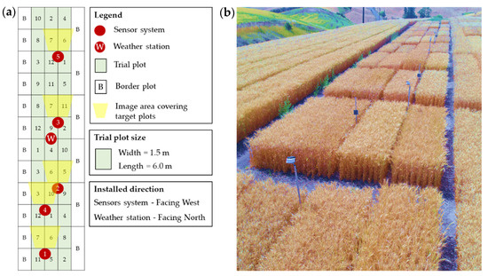Development of a Raspberry Pi-Based Sensor System for Automated In ...