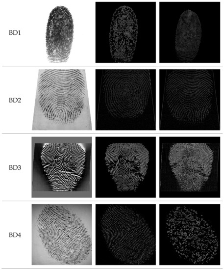 A Fingerprint Matching Algorithm Using The Combination Of Edge Features And Convolution Neural