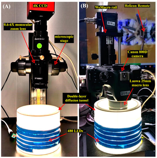 A Fast and Cost-Effective (FACE) Instrument Setting to Construct Focus ...