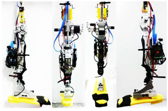 Knee Angle Generation with Walking Speed Adaptation Ability for a ...