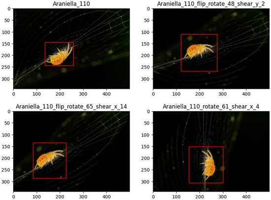 Inventions | Free Full-Text | SpiderID_APP: A User-Friendly APP for ...