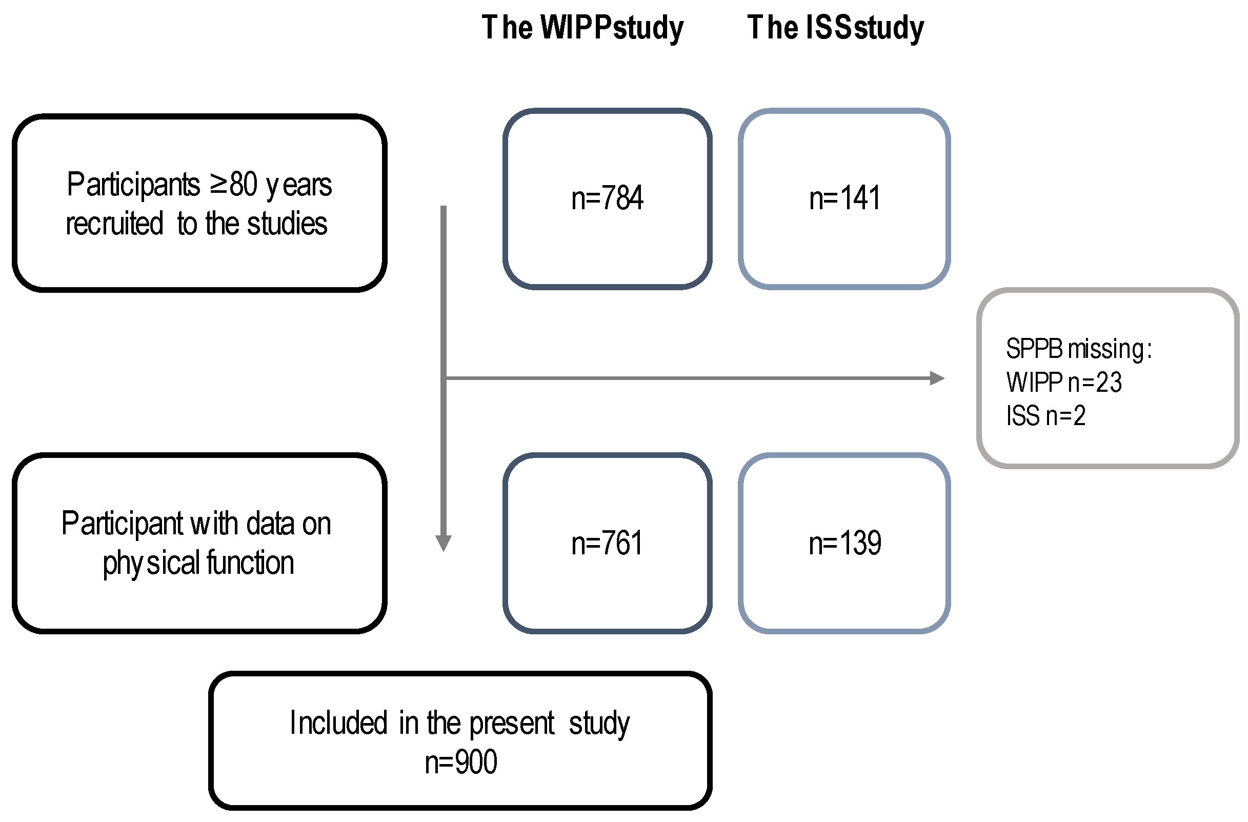 Association between Malnutrition Risk Factors and Physical Function in ...