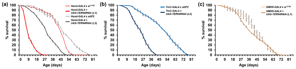 Cardiac-Restricted Expression of VCP/TER94 RNAi or Disease Alleles ...