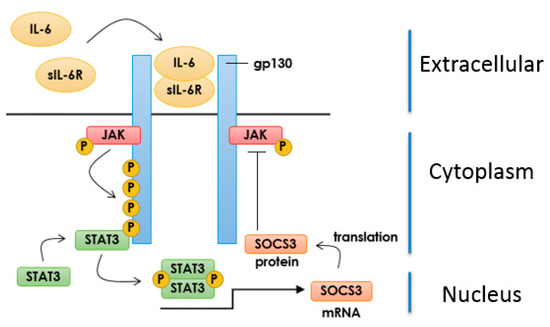 The Potential of a Novel Class of EPAC-Selective Agonists to Combat ...