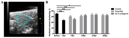 JCDD | Free Full-Text | Inhibition of let-7c Regulates Cardiac ...