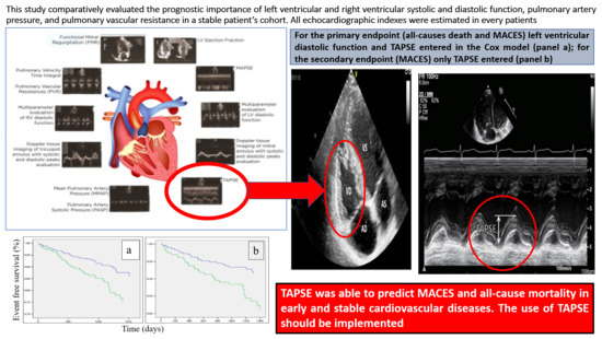 JCDD | Free Full-Text | The Prognostic Importance of TAPSE in Early and ...