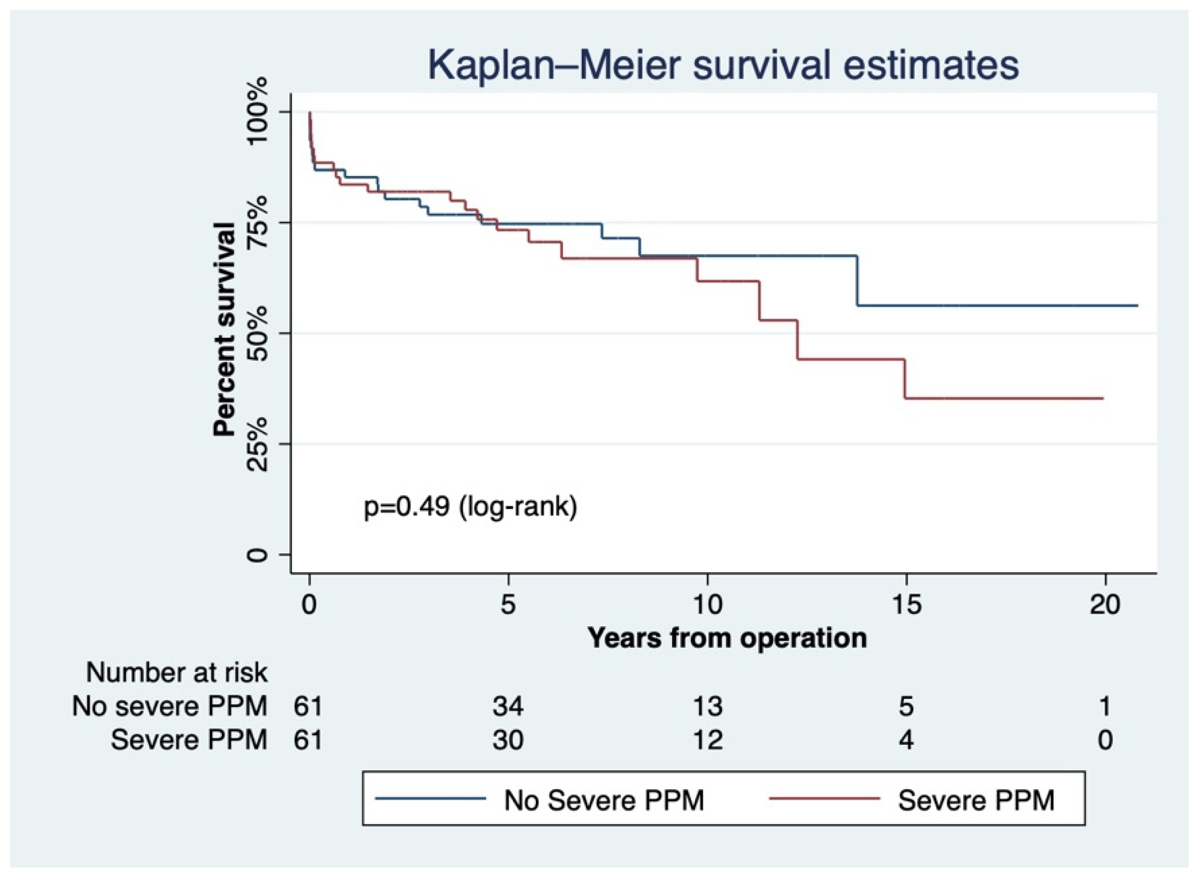 Patient–Prosthesis Mismatch in Contemporary Small-Size Mechanical ...