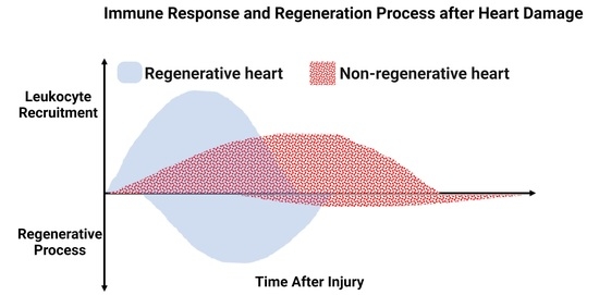 JCDD | February 2022 - Browse Articles