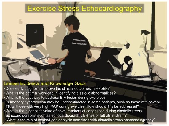 JCDD | Free Full-Text | Exercise Stress Echocardiography in the ...