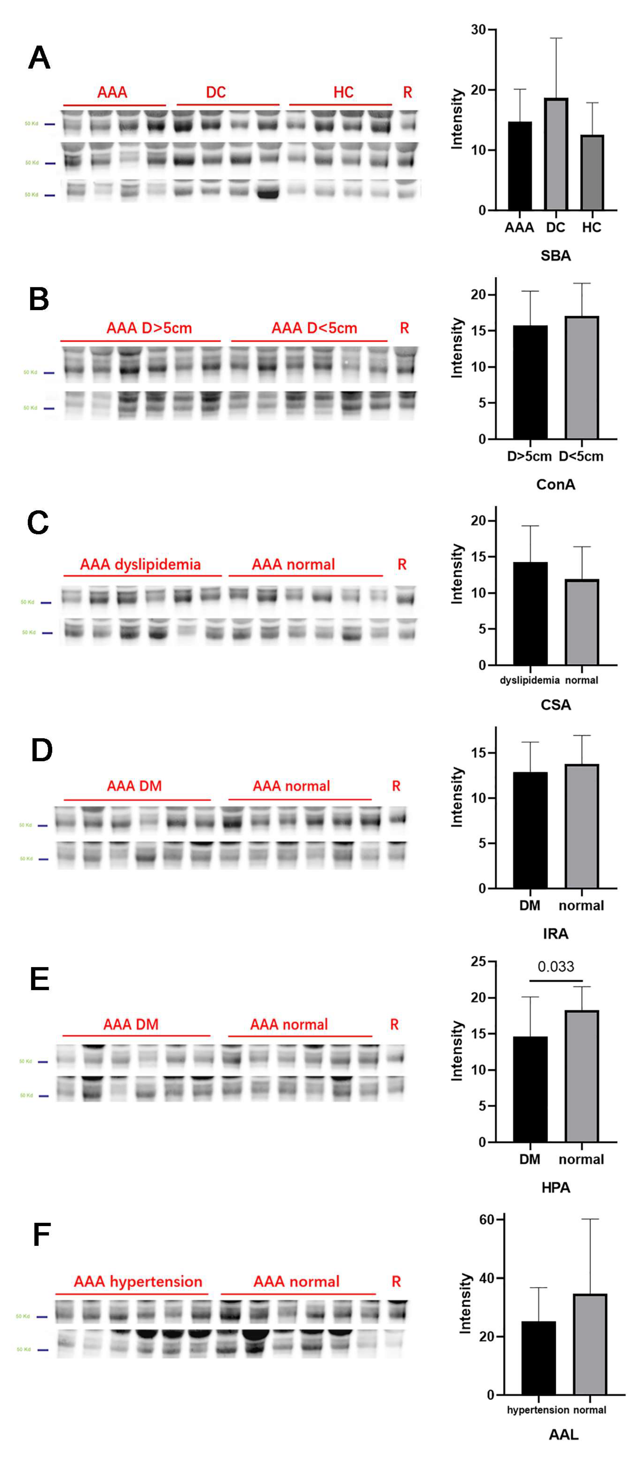 Changes in Serum IgG Glycosylation Patterns for Abdominal Aortic ...